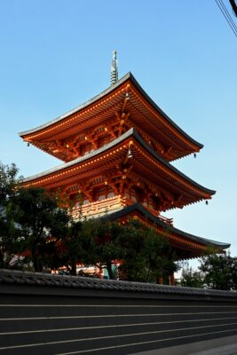 NIKKOR Z DX 12-28mm f/3.5-5.6 PZ VR【レビュー】